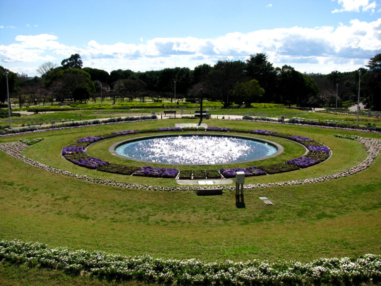 円形花壇 | 服部緑地